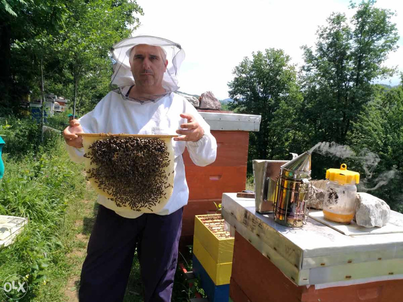 Med, polen, matična mliječ propolis imunosistem = 2 kg - Med i ...
