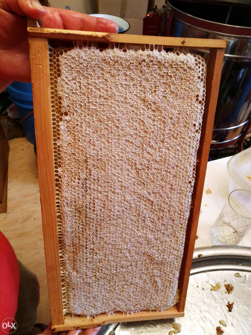 Med, polen, matična mliječ propolis imunosistem = 2 kg - Med i ...