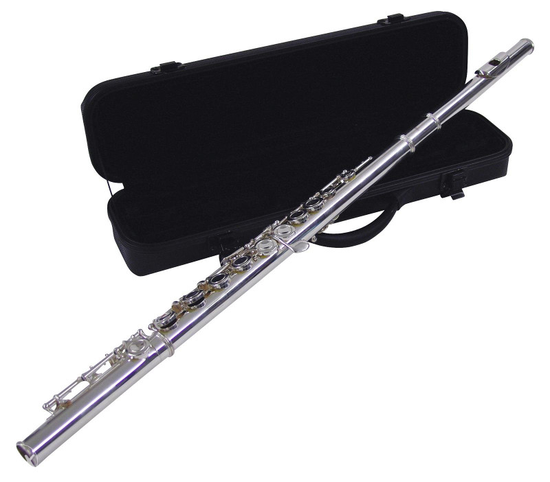 Flauta DIMAVERY QP-10 silver-plated - Flauta - OLX.ba