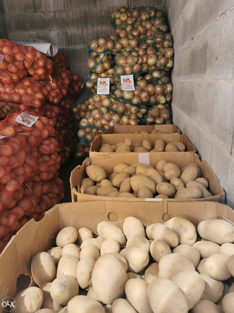 povrće krompir, cikla, pasulj i crveni luk - Povrće - OLX.ba
