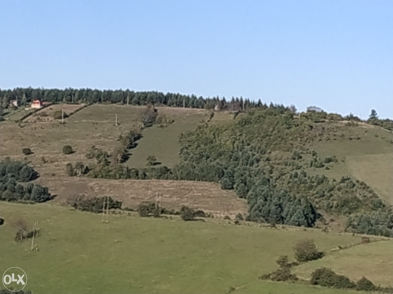 Zemljiste Nisici (Nisicka visoravan) - Zemljišta - OLX.ba