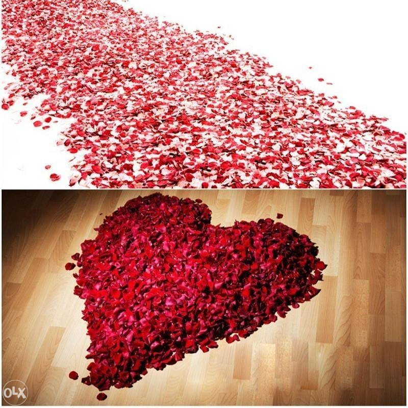 Latice od ruža - Dekoracije za vjenčanja - OLX.ba