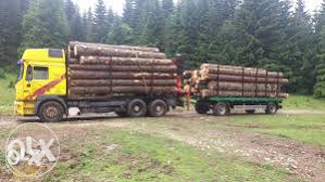 OTKUP TRUPACA BUKOVINA SUMA TRUPAC BUKVA BUKVA OBLOVINA - Ugalj i drva ...