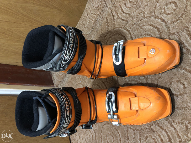 Turno pancerice (turne) br. 41 - Pancerice - OLX.ba