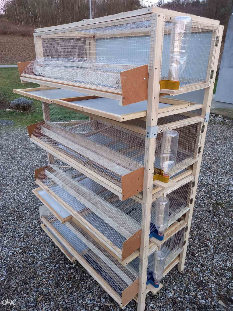 Kavez,kavezi za prepelice,piliće,kokoške,ptice... - Kavezi za kokoške ...