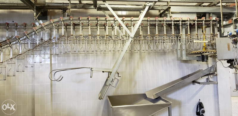 Klaonica za piliće 1500kom/h - Ostalo - OLX.ba