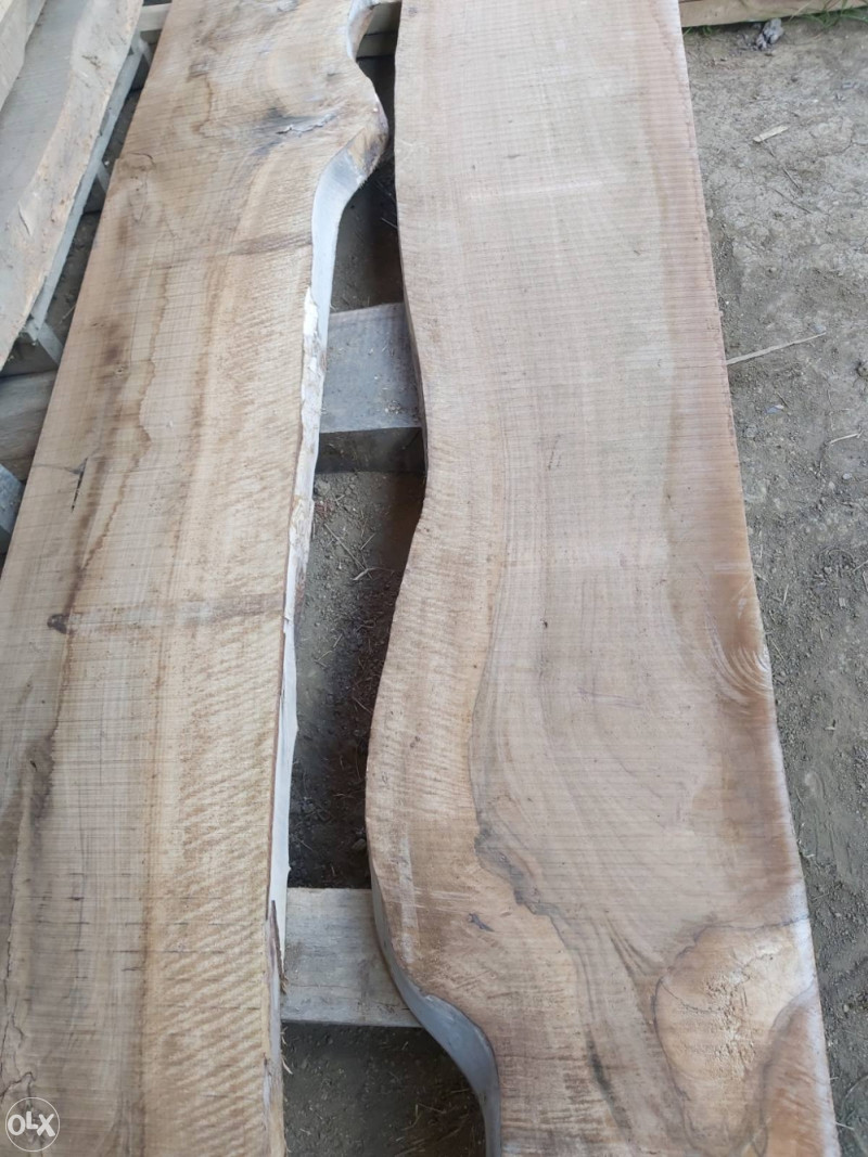 Orah daska za epoxy stolove - Kuhinjske daske - OLX.ba