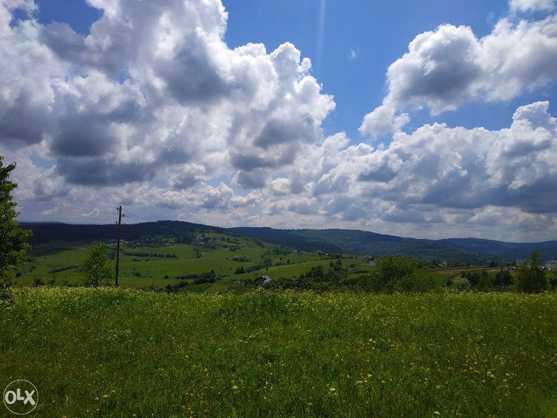 Zemljiste Nisici (Nisicka visoravan) - Zemljišta - OLX.ba