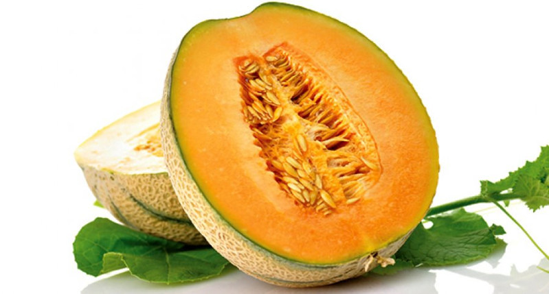 Dinja medna rosa organsko sjeme - Moj dom - Sjemena - Prijedor - OLX.ba