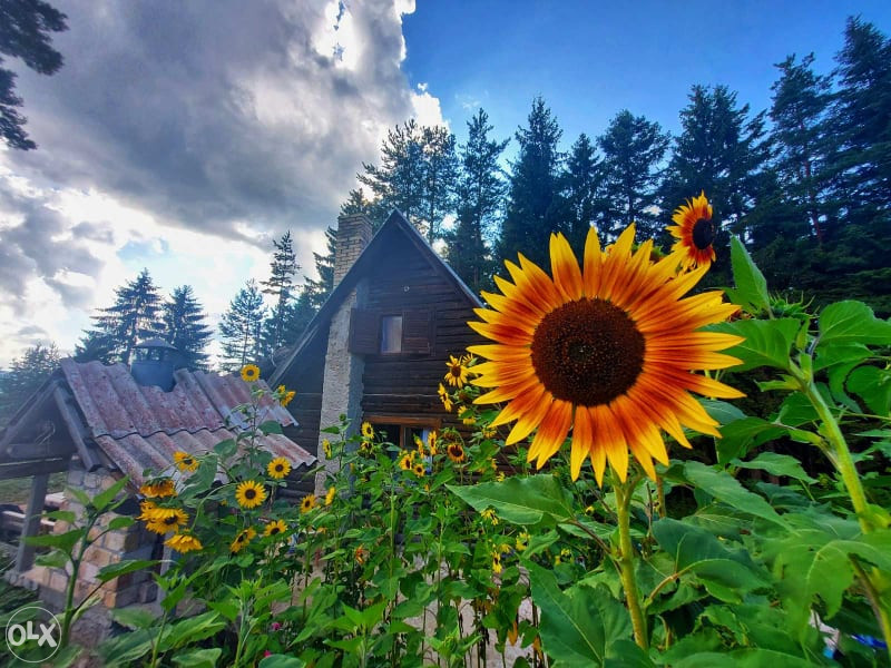 Vikendica, Nisicka visoravan,Nisici - Vikendice - OLX.ba