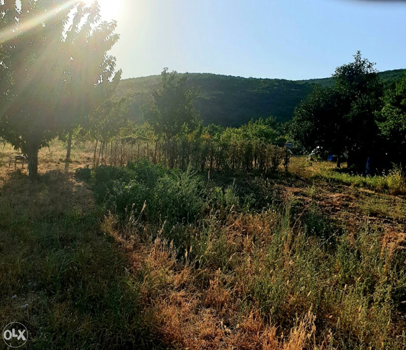 (POVOLJNO)Kuća sa zemljištem Grad Mostar Podgorani - Kuće - OLX.ba