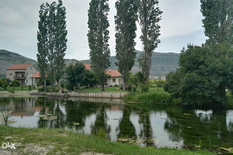 Kupujem - Zemljište Trebinje, Pridvorci - Zemljišta - OLX.ba