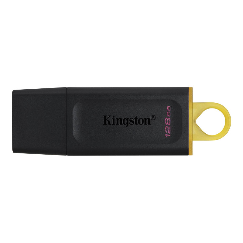 GIGA.BA USB STIK STICK KINGSTON 128 GB 128GB USB3.2 DTX - USB Memorija ...