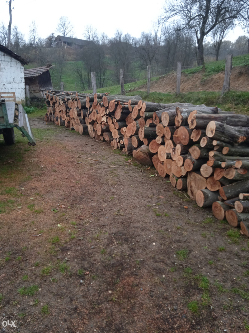 Drva bukva - Ugalj i drva - OLX.ba