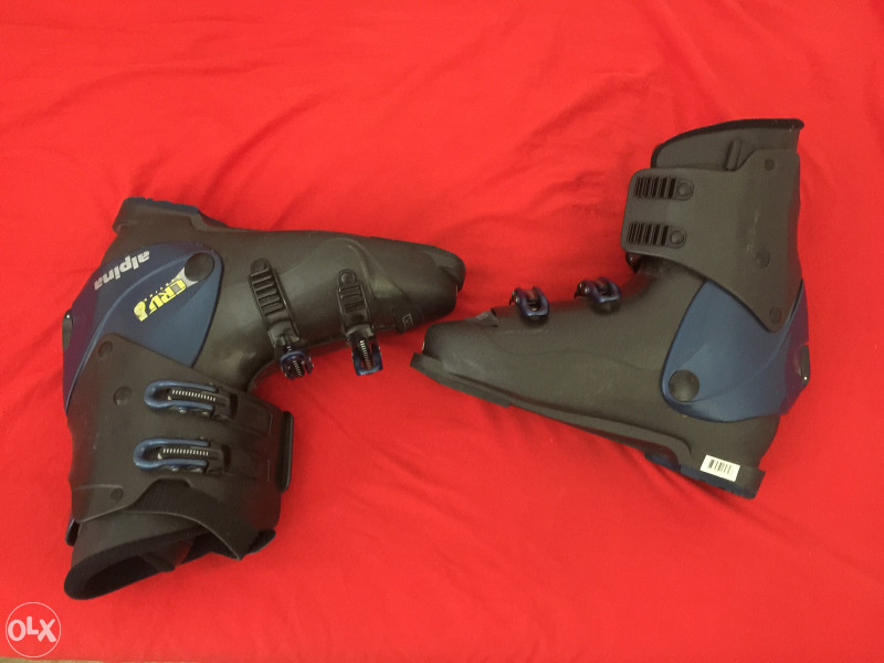 Pancerice alpina - Ski pancerice - OLX.ba