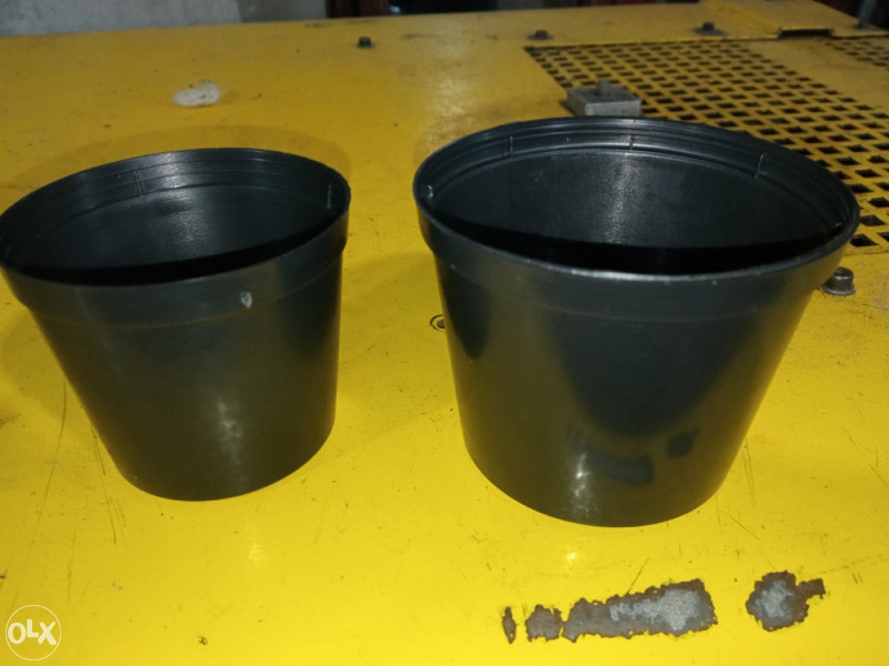 Saksije za rasad i cvijece - Vazne i saksije - OLX.ba