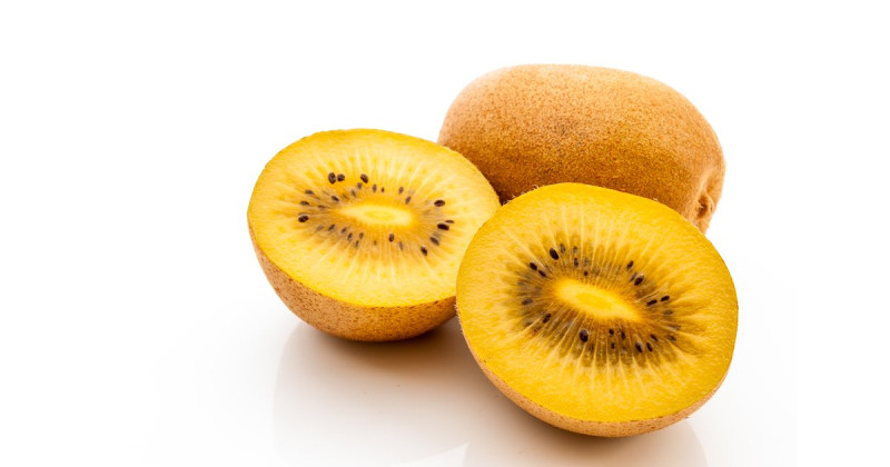 Zlatni kiwi sadnice - Sadnice - OLX.ba