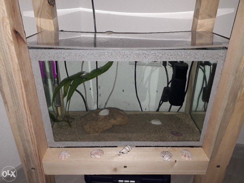 Akvarijum za ribice - Akvarijumi - OLX.ba