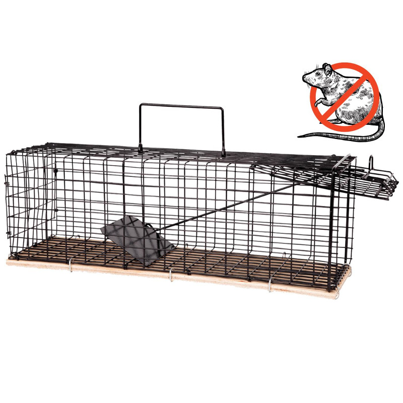 Zamka za Miševe i Glodare - Zaštite od životinja - OLX.ba
