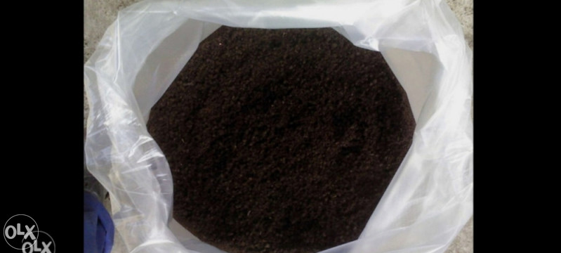 Humus - Zemlja za cvijeće - OLX.ba