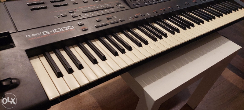 Roland G1000 - Ostala muzička oprema i dijelovi - OLX.ba