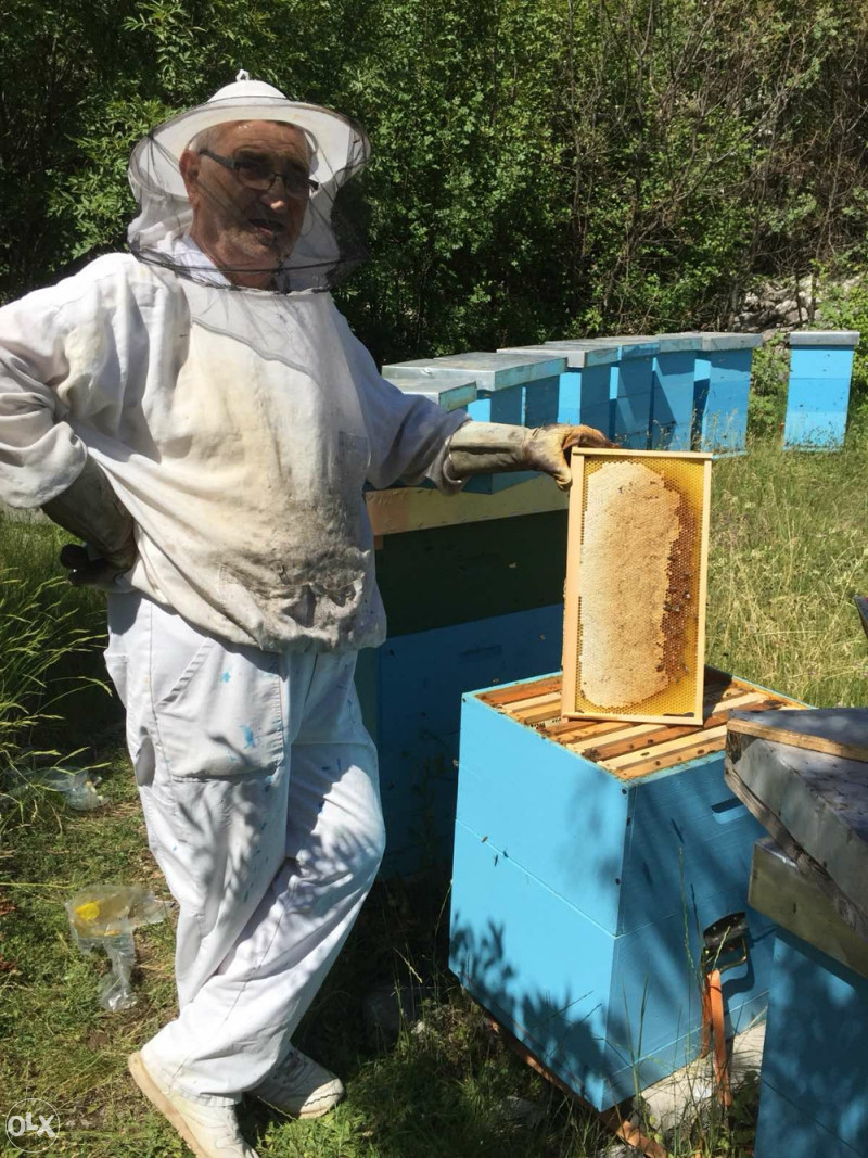 Prodaja pcela sa medom - Pčele - OLX.ba