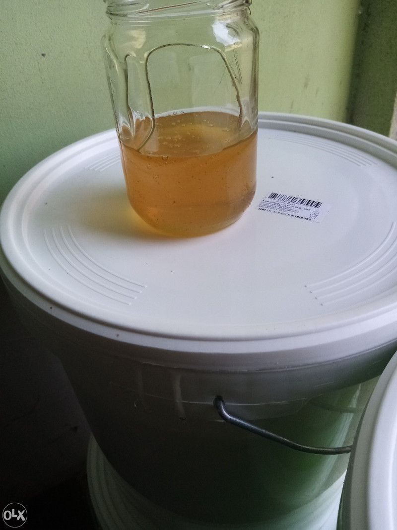 Med bagrem - Med i proizvodi od meda - OLX.ba