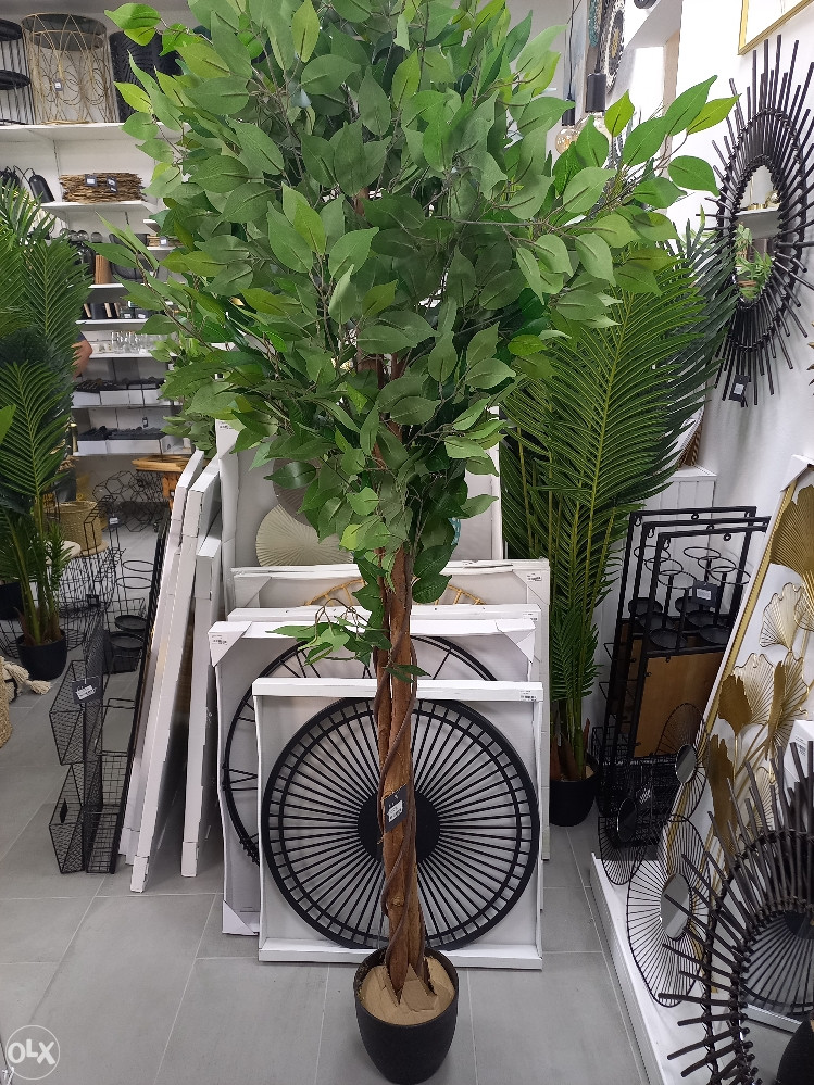 Plasticno cvijece 180cm - Umjetno bilje i cvijeće - OLX.ba