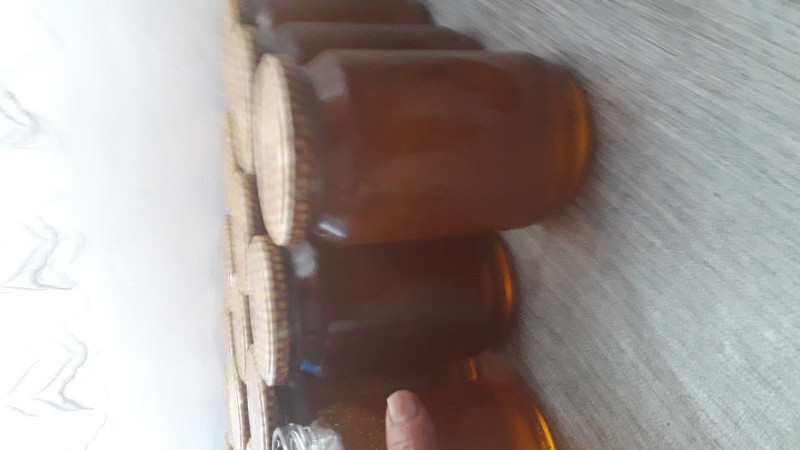 PČELINJI MED BAGREMOV - Med i proizvodi od meda - OLX.ba