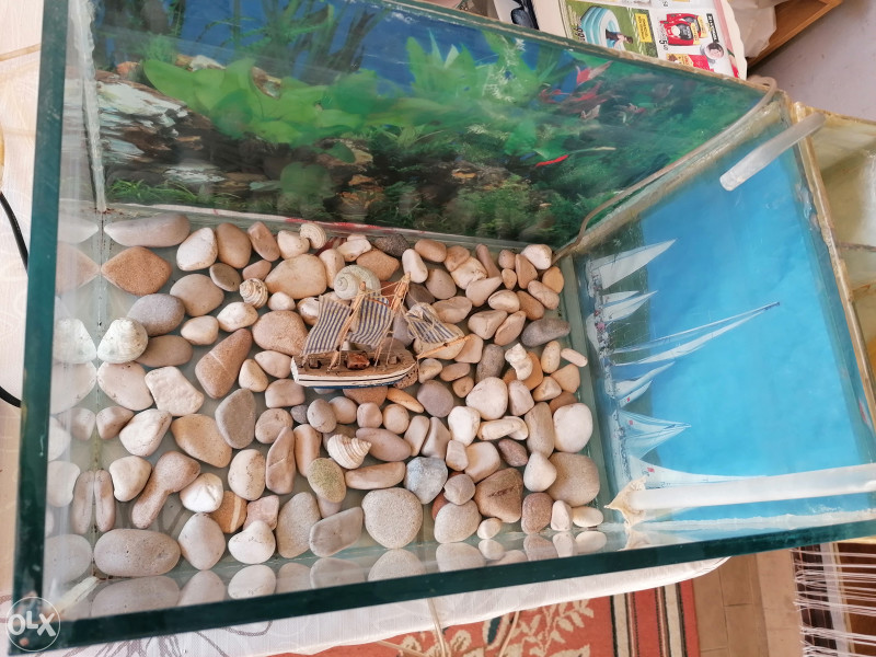 Akvarijum za ribice - Akvarijumi - OLX.ba