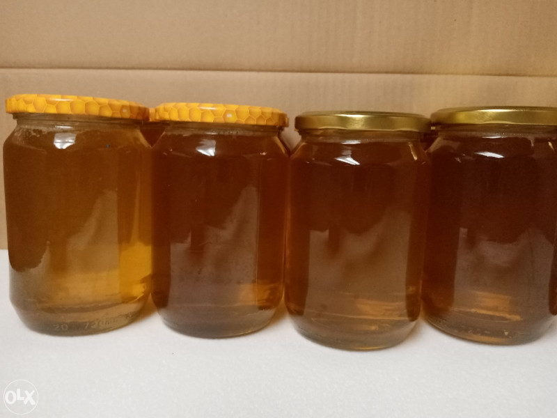 BAGREMOV I LIVADSKI MED - Med i proizvodi od meda - OLX.ba
