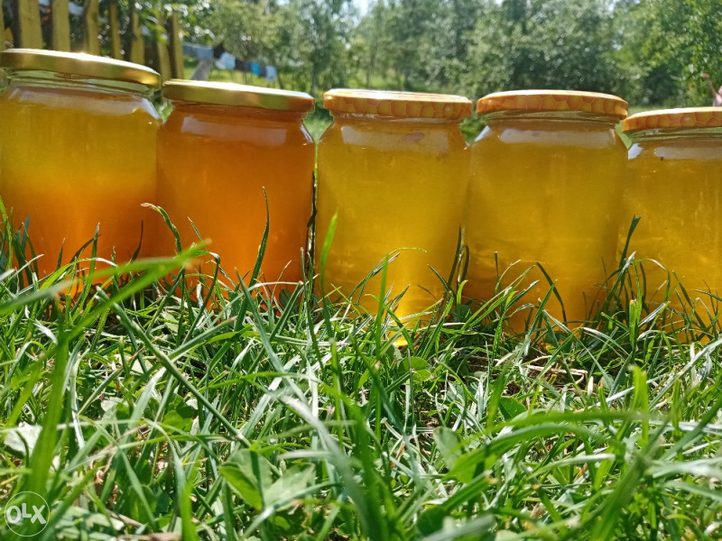 BAGREMOV I LIVADSKI MED - Med i proizvodi od meda - OLX.ba