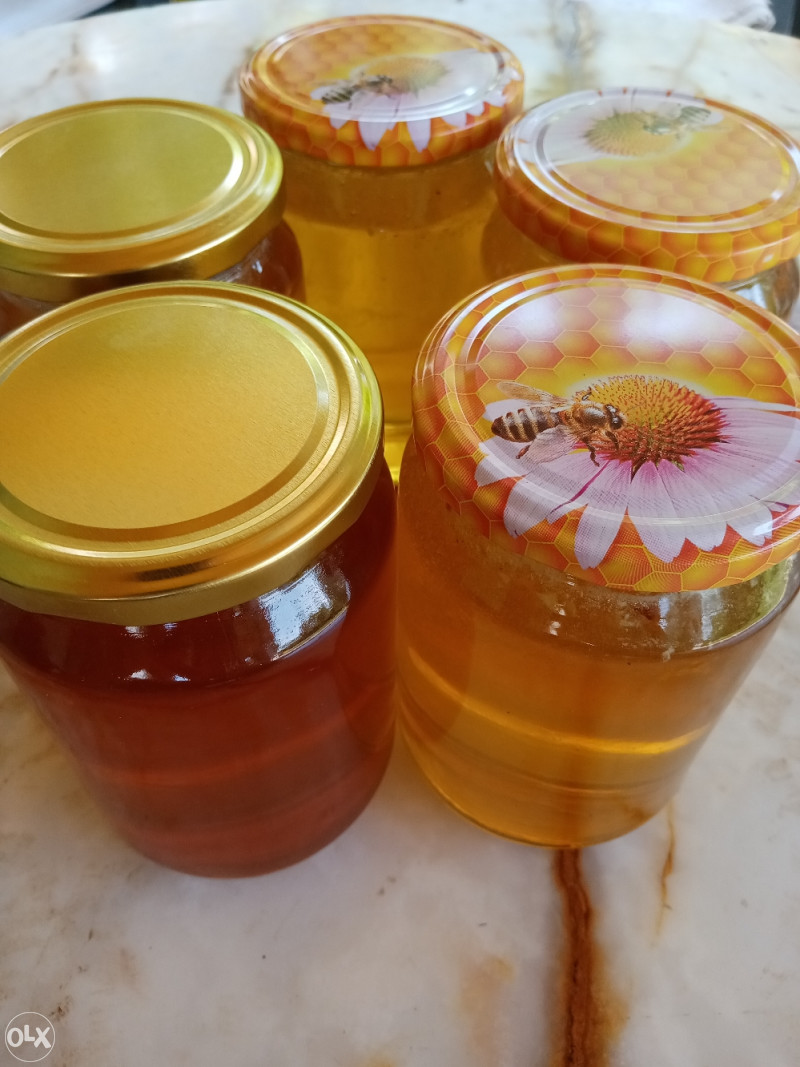 BAGREMOV I LIVADSKI MED - Med i proizvodi od meda - OLX.ba