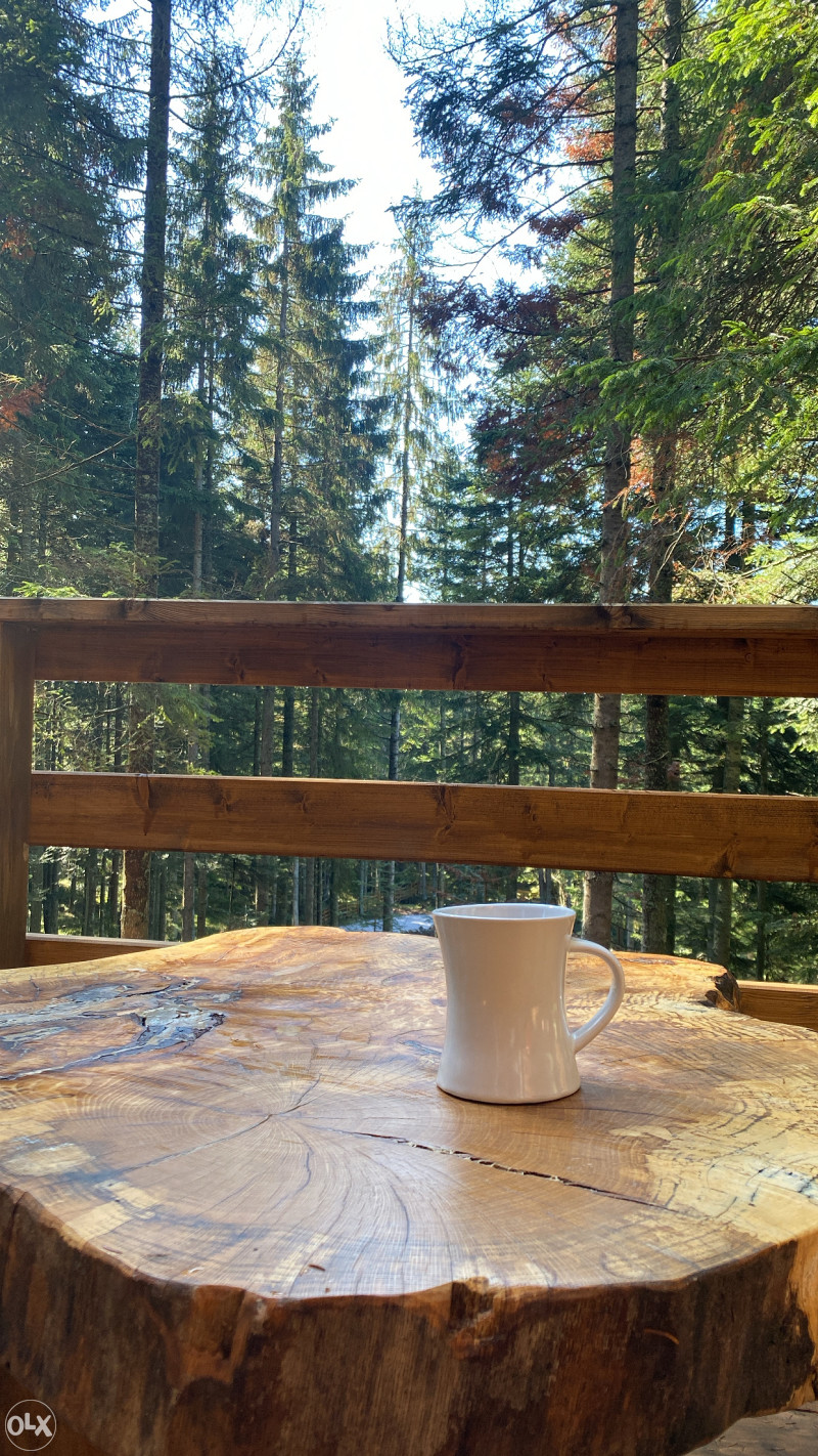 Vikendica brvnara Nisici Nisicka visoravan - Vikendice - OLX.ba