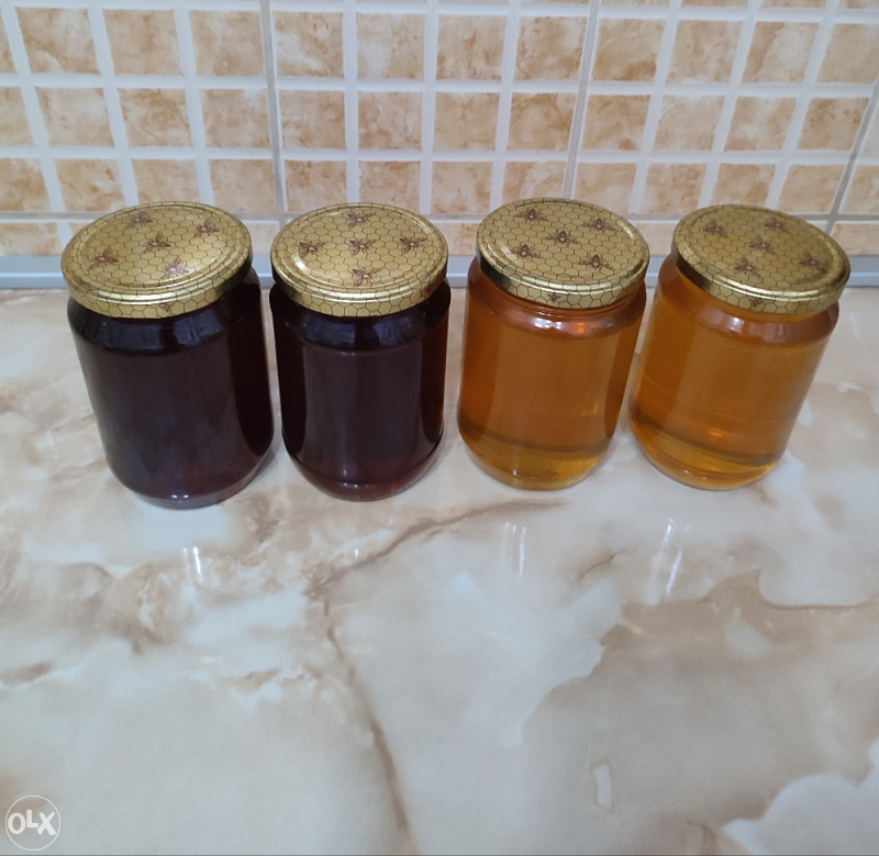 Med kesten i livada 100 % pcelinji prirodni - Med i proizvodi od meda ...