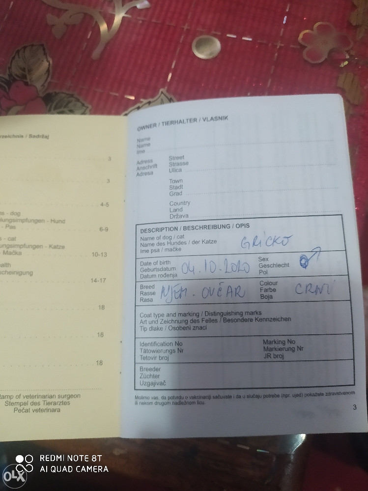 Pas crni vucijak - Psi i Štenad - OLX.ba