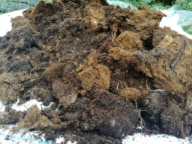 KISELI TRESET ZA BOROVNICU - Sadnice - OLX.ba