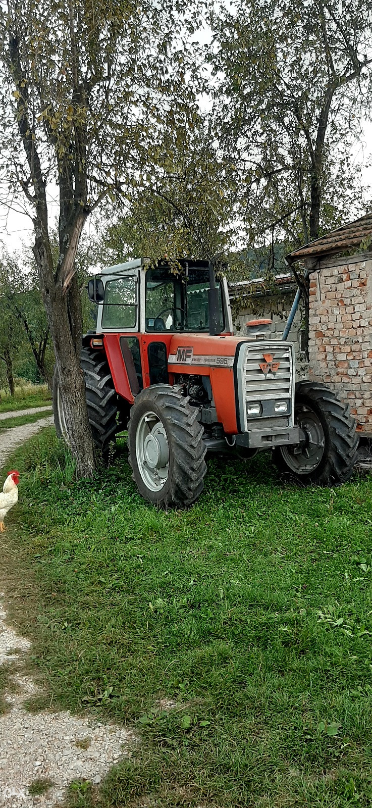 Traktor duplak masej ferguson - Traktori - OLX.ba