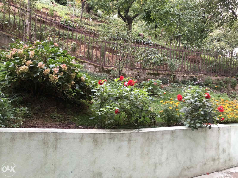 Porodična kuća - Svrakino Selo - Novi Grad - Kuće - OLX.ba