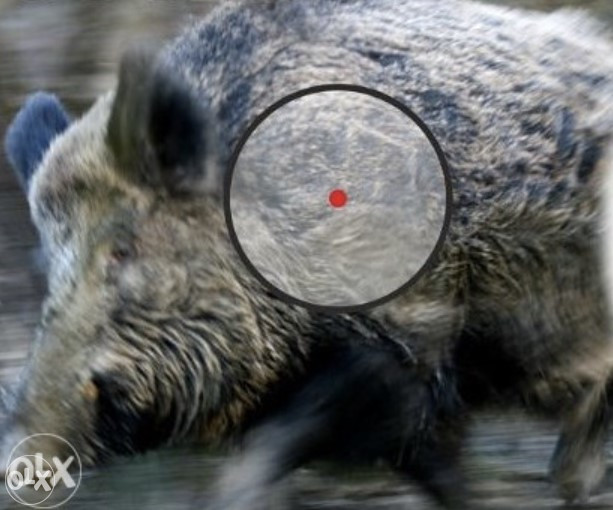 Red Dot Nisan Optika Opticki Lovacki Pusku Lov - Optika - OLX.ba