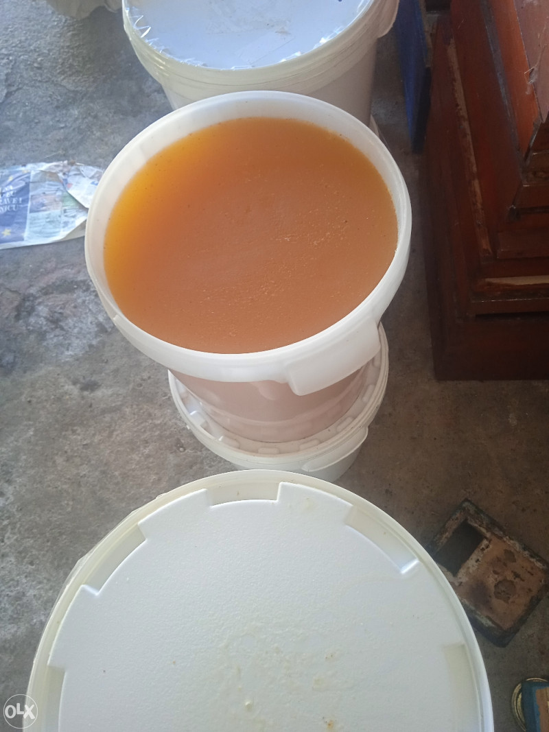 Pcelinji med - Med i proizvodi od meda - OLX.ba