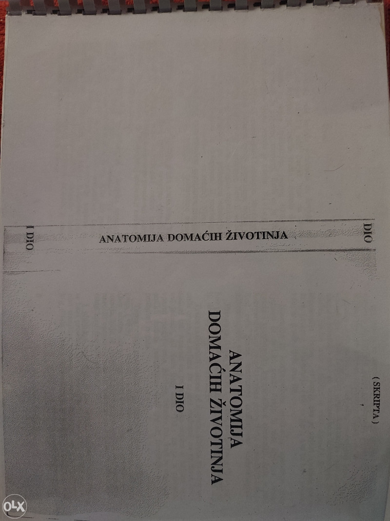 Anatomija domaćih životinja / I DIO (skripta) - Fakultet - OLX.ba