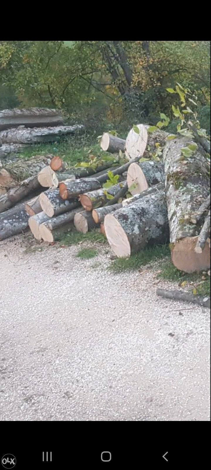Drva bukva cer grab - Ugalj i drva - OLX.ba