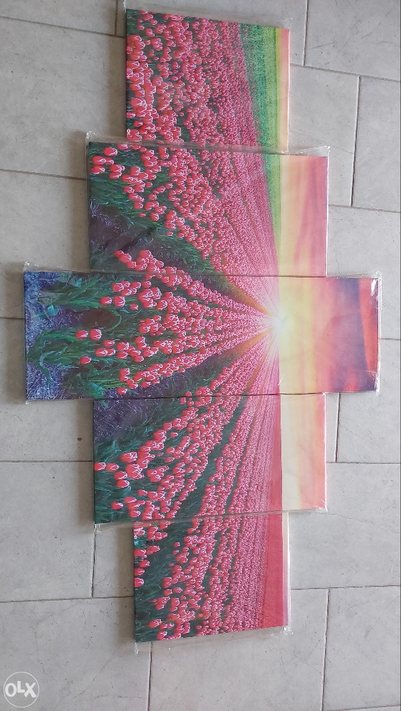Dekorativne zidne slike na platnu tulipani 5u1 ukrasne - Zidne ...