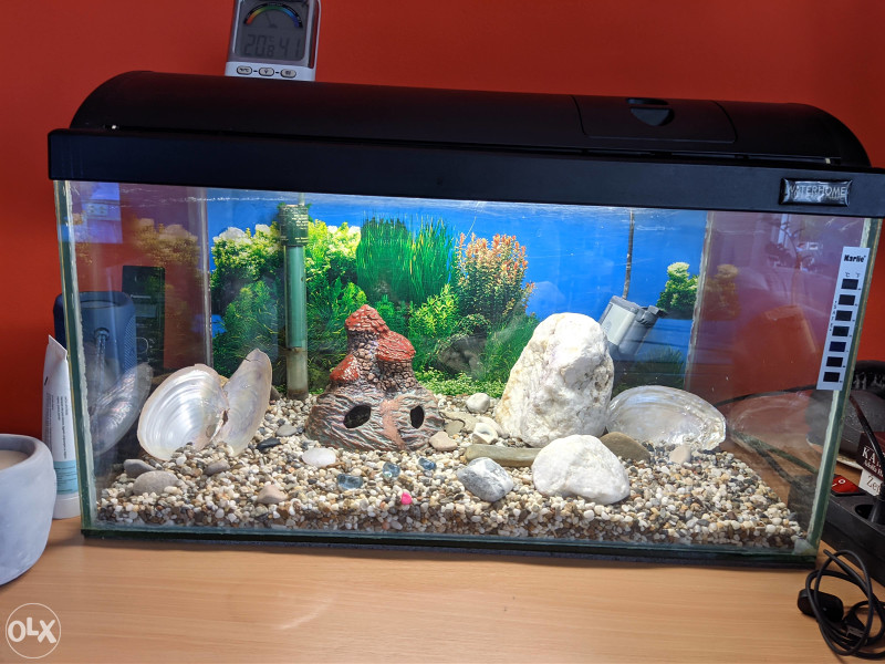 Akvarij za ribe - Akvarijumi - OLX.ba