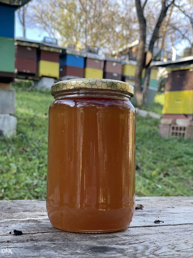 Domaći med - Med i proizvodi od meda - OLX.ba