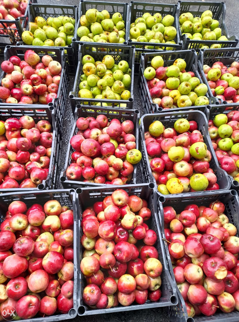 Domaci sok - Bezalkoholna pića - OLX.ba