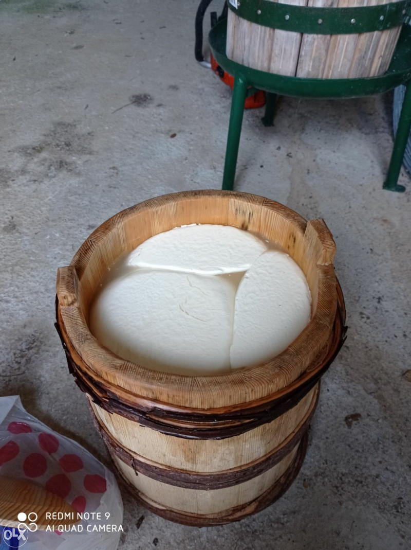 Sir kravlji - Mliječni proizvodi - OLX.ba