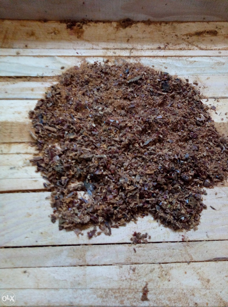 Propolis sirovi, pcele , pčele - Med i proizvodi od meda - OLX.ba