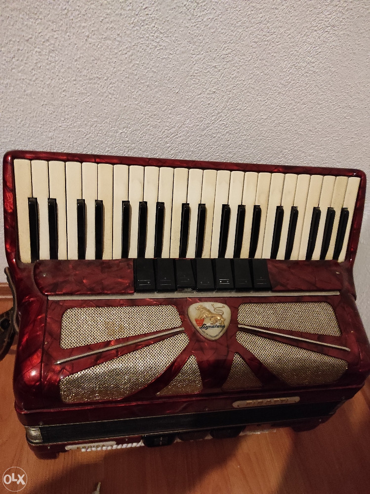 Harmonika Firroti 120 bas - Harmonika - OLX.ba